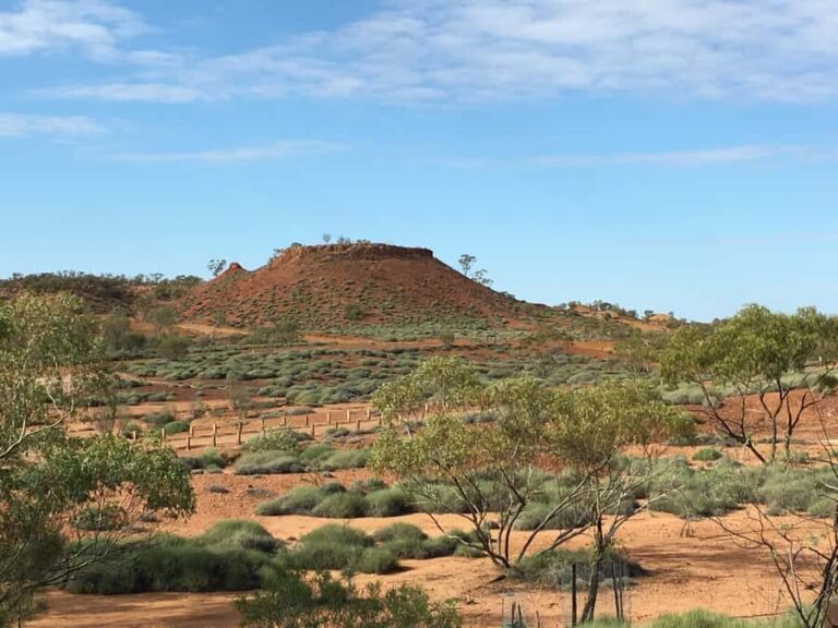 Dinosaur Stampede Half Day Tour - Dino Dash - The Lark Quarry Discovery: Guided Tour Insights