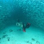 Discover a Mayan Adventure with cenotes & a lagoon. Snorkel & Buffet included. - Who Should Consider This Tour?