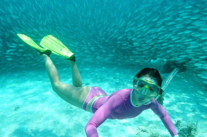 Discover an amazing world:Cenote exploration and jungle soaring. Buffet included - Who Is This Tour Best For?