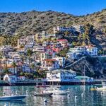 Discover Avalon: Catalina Scenic Tour - Transportation and Group Size