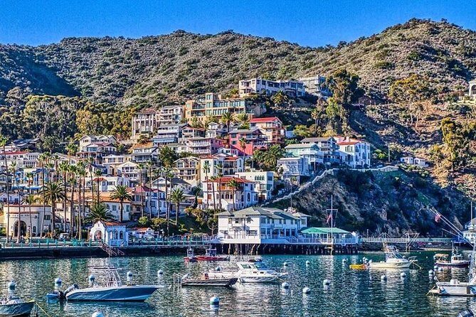 Discover Avalon: Catalina Scenic Tour - Transportation and Group Size