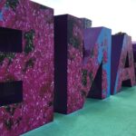 Discover Brisbane - South Bank - Who Would Love This?