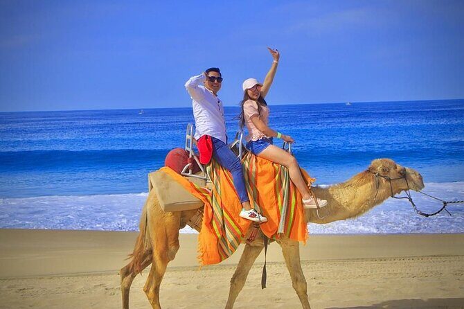 Discover Cabo San Lucas by camel ride - Who Would Enjoy This Tour?