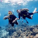 Discover Diving in the Reefs of Cozumel - Who Is This Tour Best For?