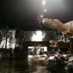 Discover Drumheller, Horseshoe Canyon, Royal Tyrrell Museum - What Makes This Tour Stand Out