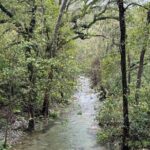 Discover Estanzuela Natural Park - Who Should Consider This Tour?