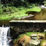 Discover Hiking Trails and a Convent in Desierto de los Leones - What Makes This Tour Stand Out?