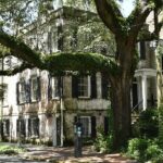 Discover Lesser Known Stories on the Hidden Savannah Walking Tour - The Value of the Experience