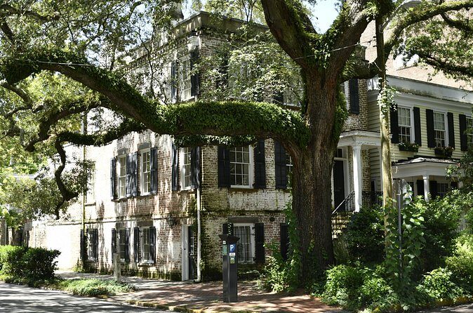 Discover Lesser Known Stories on the Hidden Savannah Walking Tour - The Value of the Experience