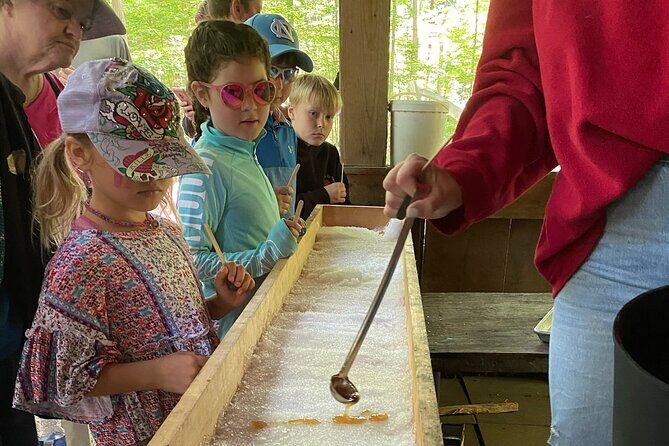 Discover Maple Sugar Bush Tour - Final Thoughts: Is It Worth It?
