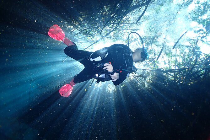 Discover Scuba Diving at Casa Cenote No Certification Needed - Who Is This Tour Perfect For?