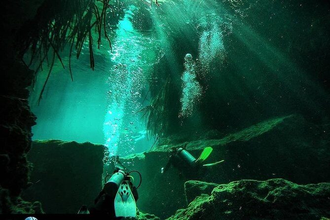 Discover Scuba Diving at Casa Cenote - Who Would Love This Tour?