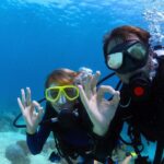 Discover Scuba Diving & Beach Club with Transportation In Riviera Maya - Authentic Insights from Real Travelers