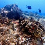 Discover Scuba Diving in Cozumel - What to Expect During Your Tour