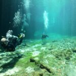 Discover Scuba Diving in Tulum - Why This Tour Offers Great Value for Your Money