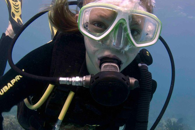 Discover Scuba Diving - One Tank at Coral Reef - The Value of the Experience