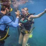 Discover Scuba experience at Las Caletas, Puerto Vallarta - The Itinerary Breakdown: What You Can Expect