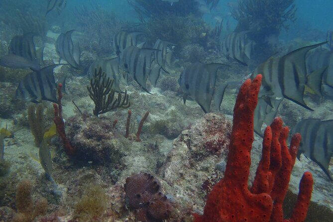 Discover Scuba - The Itinerary: What to Expect from Start to Finish