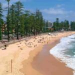 Discover Sydney - Private walking tour - Modern Vibe at Darling Harbour