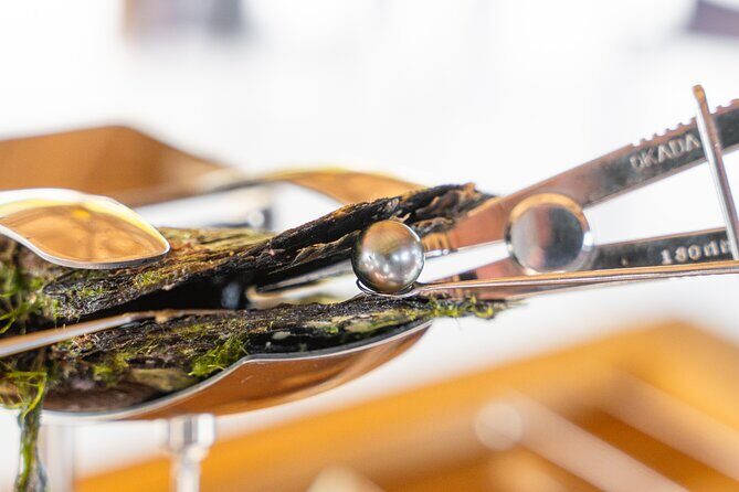 Discover the black pearl in Bora Bora - A Deep Dive Into the Bora Bora Pearl Farm Experience