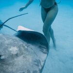 Discover the unspoilt sites of the lagoon DE Moorea - What sets this tour apart from others?