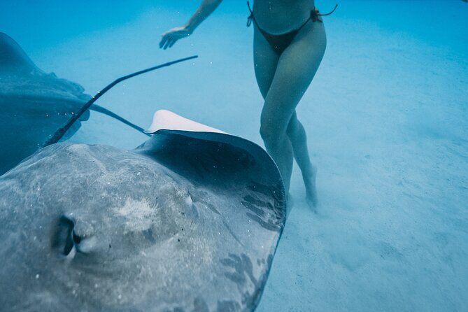 Discover the unspoilt sites of the lagoon DE Moorea - What sets this tour apart from others?
