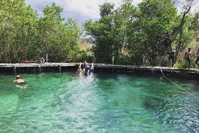 Discover the Wonders of Holbox, Cenote and Passion Island. Transport included - What’s Included & What’s Not