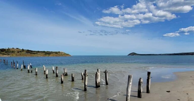Discover Victor Harbor Guided Walking Tour - Exploring Heritage Buildings and Their Stories