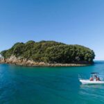 Discover Whangamata - Boat Tour - Why You’ll Love the Discover Whangamata Boat Tour