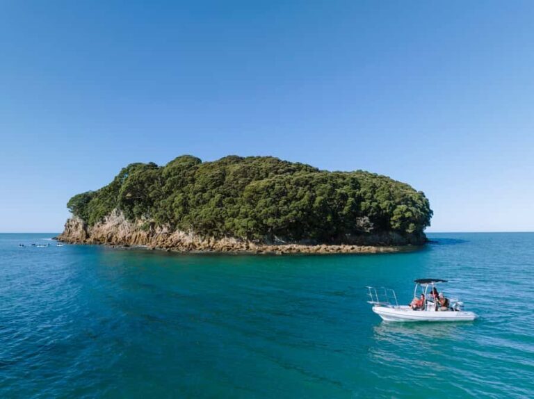 Discover Whangamata - Boat Tour - Why You’ll Love the Discover Whangamata Boat Tour