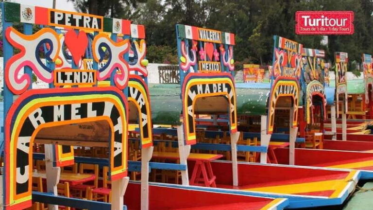 Discover Xochimilco and Coyoacán: Tradition, Music, Culture - Deep Dive Into the Experience