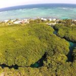 Discovering Breathtaking Cenotes in Tulum - Transportation, Timing, and Comfort