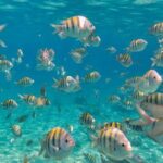 Discovering Isla Mujeres on a Double Decker Catamaran - What’s Included and What to Keep in Mind