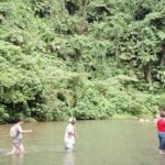 Discovery Bush Walk from Port Vila - What to Expect in Terms of Physicality and Comfort