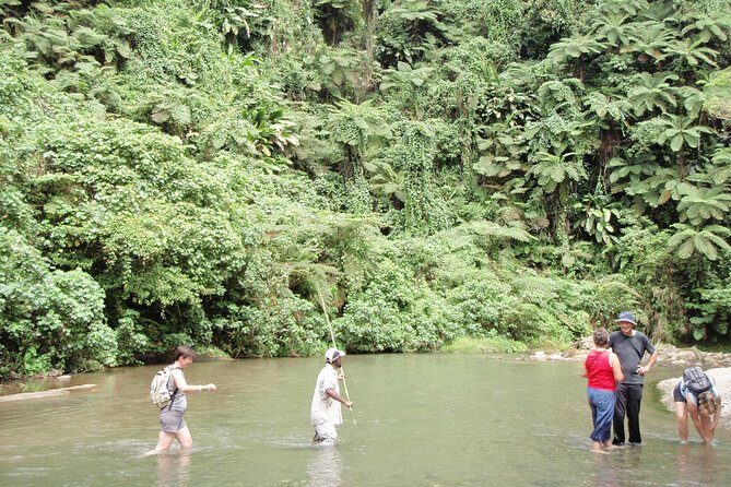 Discovery Bush Walk from Port Vila - What to Expect in Terms of Physicality and Comfort