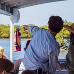 Discovery Dolphin Boat Tour - Who Will Love This Tour?
