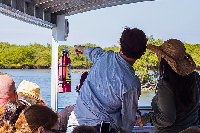 Discovery Dolphin Boat Tour - Who Will Love This Tour?