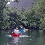 Discovery in Kayaking of the Faaroa River in Raiatea - Price and Value