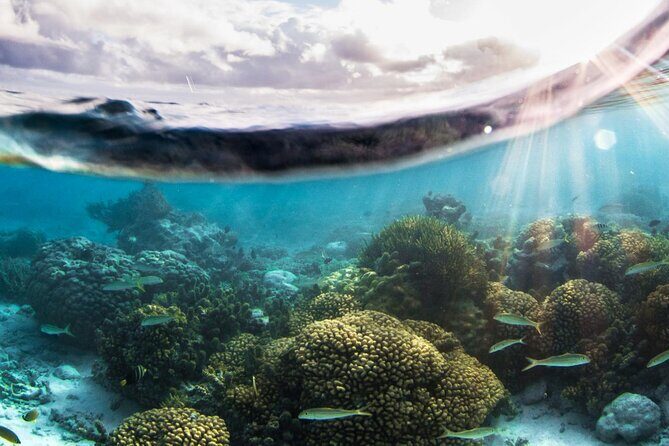 Discovery Program - Practical Tips for Your Dive Experience