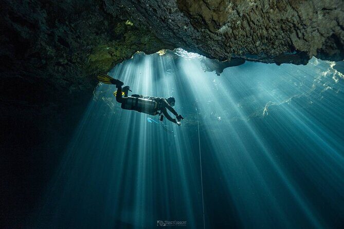 Diving in Cenotes: discovering the Mayan Underworld - Why This Tour Stands Out