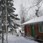 Dog Sledding - How This Tour Offers Value