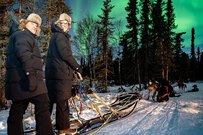 Dog Sledding and Northern Lights Combo Night - Practical Details and Tips