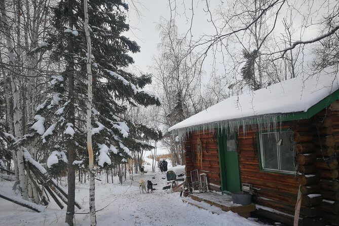 Dog Sledding - How This Tour Offers Value