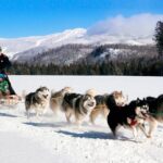 Dogsled Adventure in Mont-Tremblant - The Experience: Pros and Cons