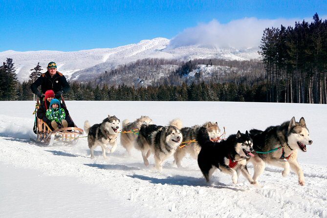 Dogsled Adventure in Mont-Tremblant - The Experience: Pros and Cons