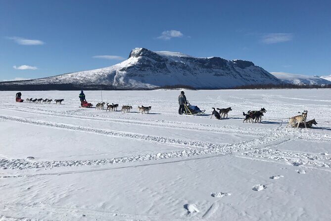 Dogsledding in the Heart of Alaska - Value and Practicalities