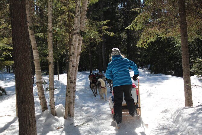 Dogsledding Nordic Adventure in Mont Tremblant - What to Expect from the Dogsledding Adventure