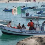 Dolphin and Whale Watching Boat Trip in Puerto Escondido - The Sum Up