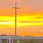 Dolphin and Wildlife History Tour - Who Will Love This Tour?