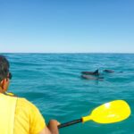 Dolphin Kayak Tour & Beach 4X4 National Park Tour (Private) - Exploring the Scenic Route: The Great Beach Drive